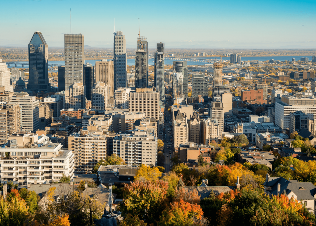 Find an International Experience - ipe