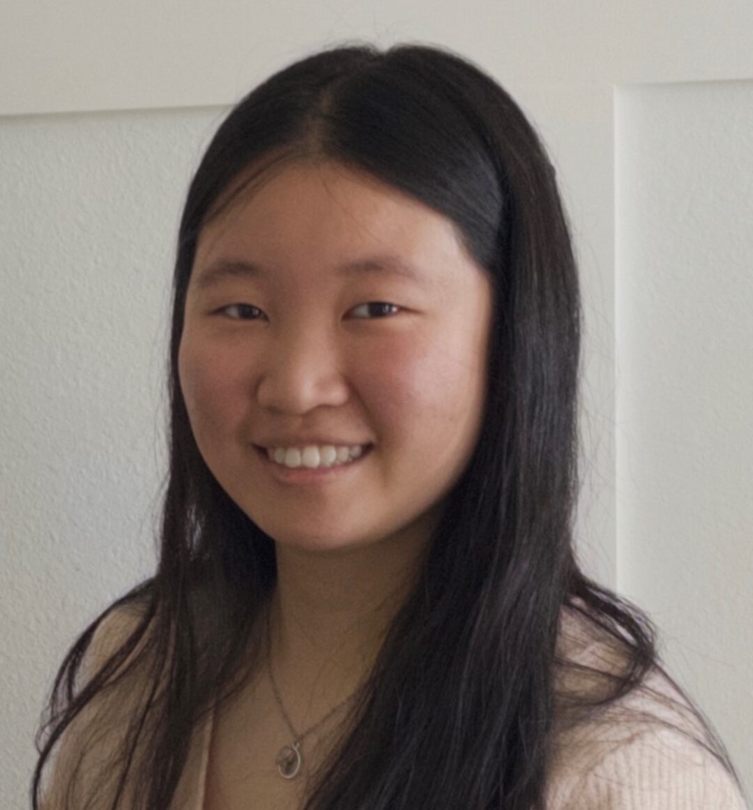 Meet the IPE Summer Bloggers - ipe